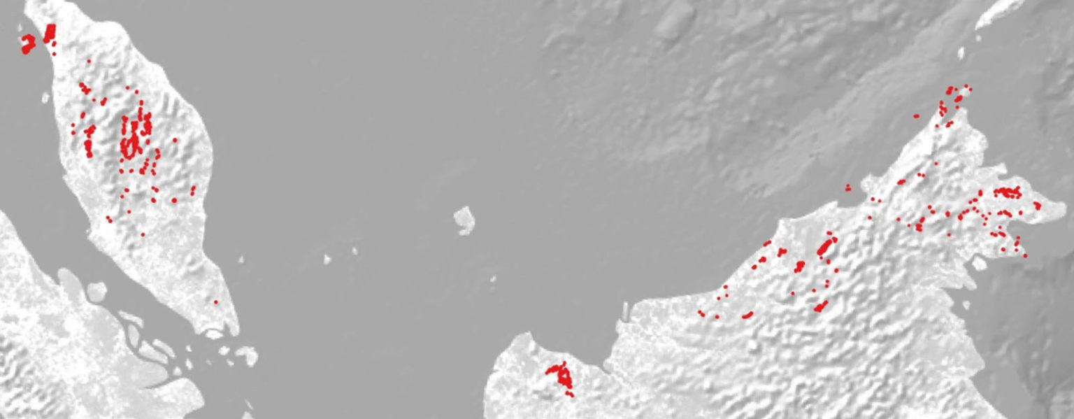 The Galapagos Islands on land: How limestone is essential to life