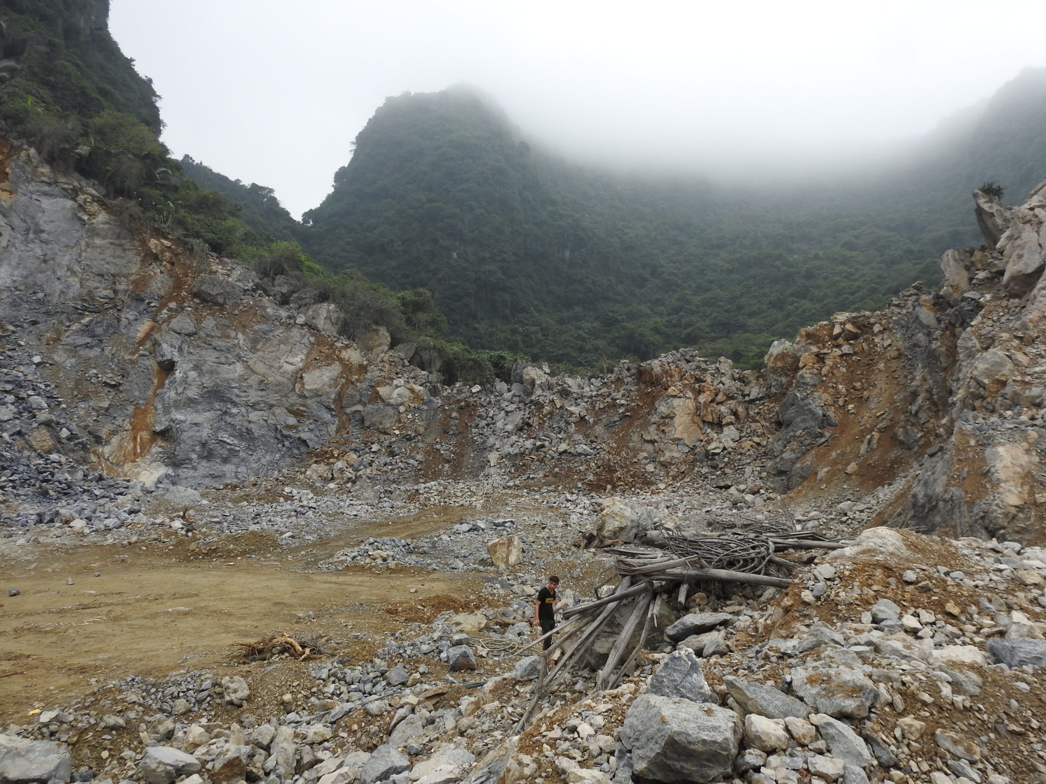 Teeming with life, the destruction of Vietnam's karsts hits biodiversity