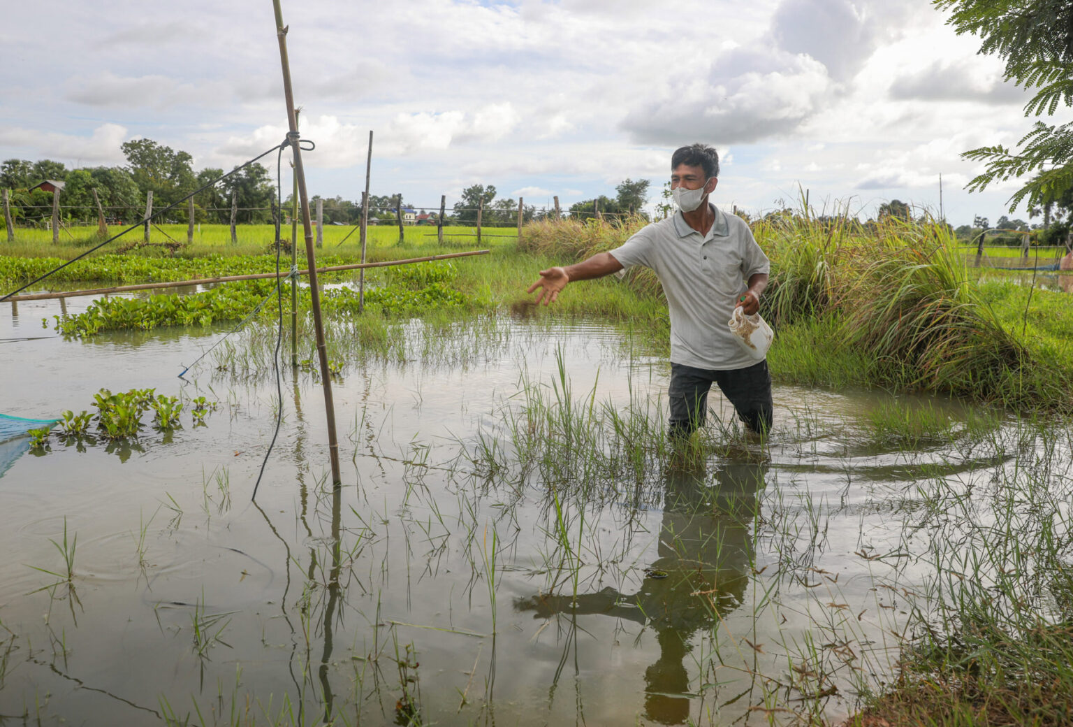 Small native fish is a big catch for researchers tackling regional ...
