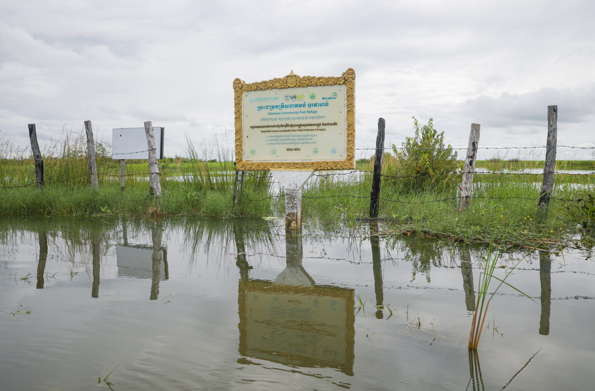 Village fish refuges help fight malnutrition across Cambodia