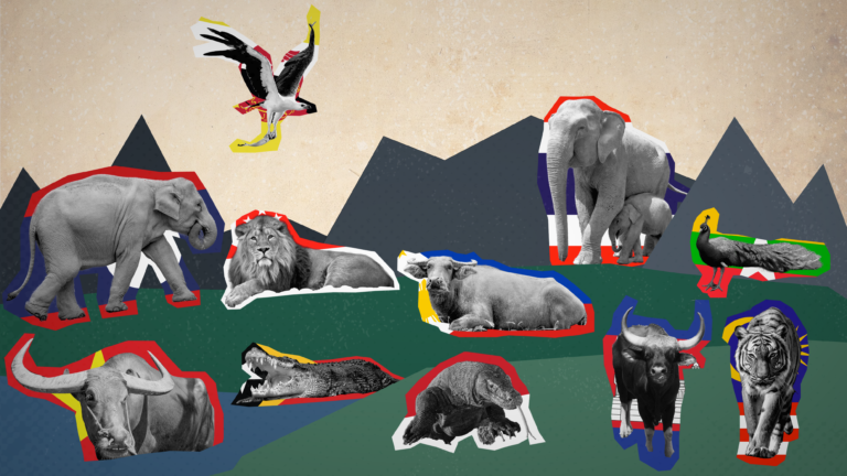 World Wildlife Day Special: Highlighting the animals of Southeast Asia