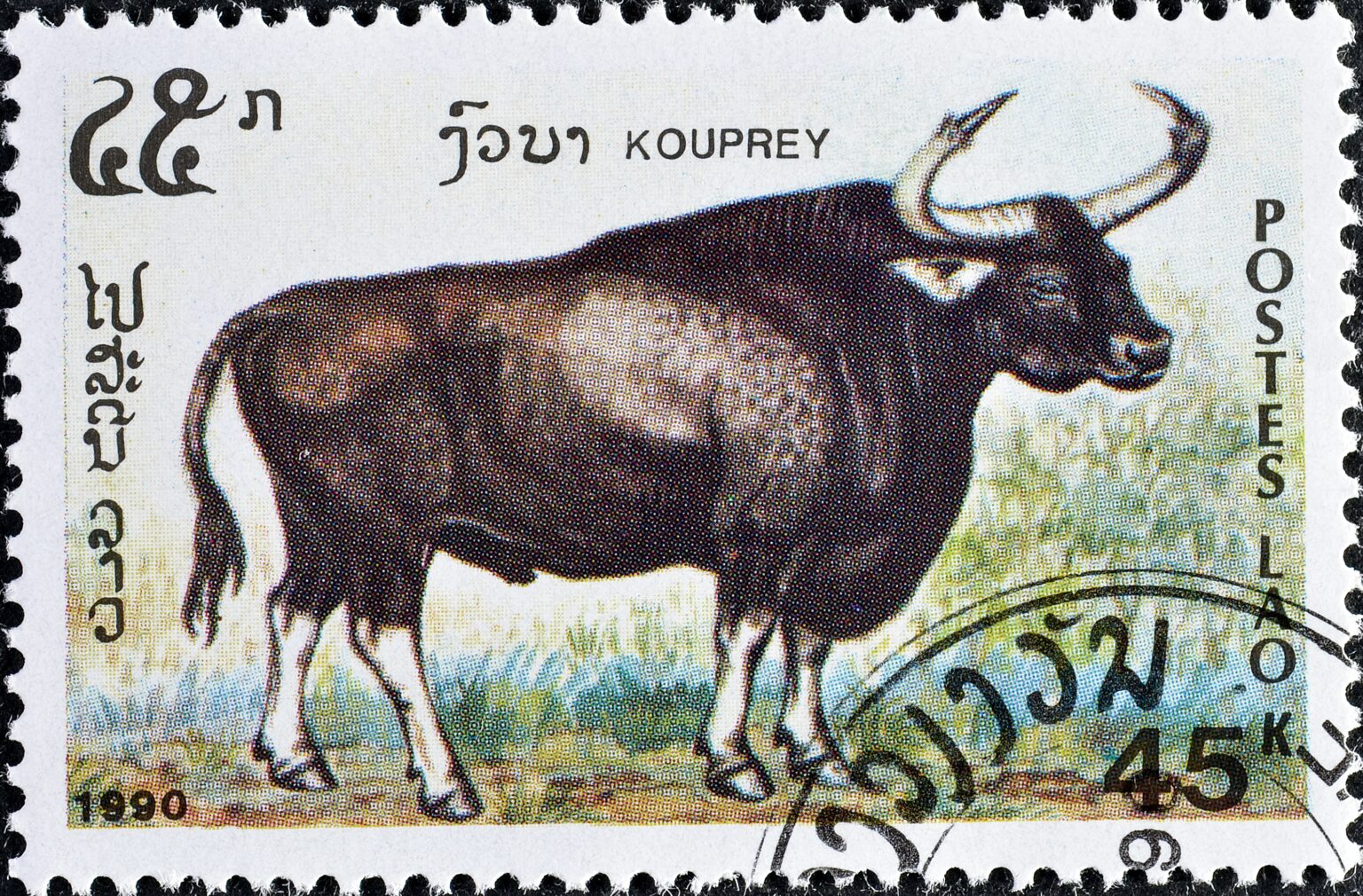 Cambodia: Kouprey