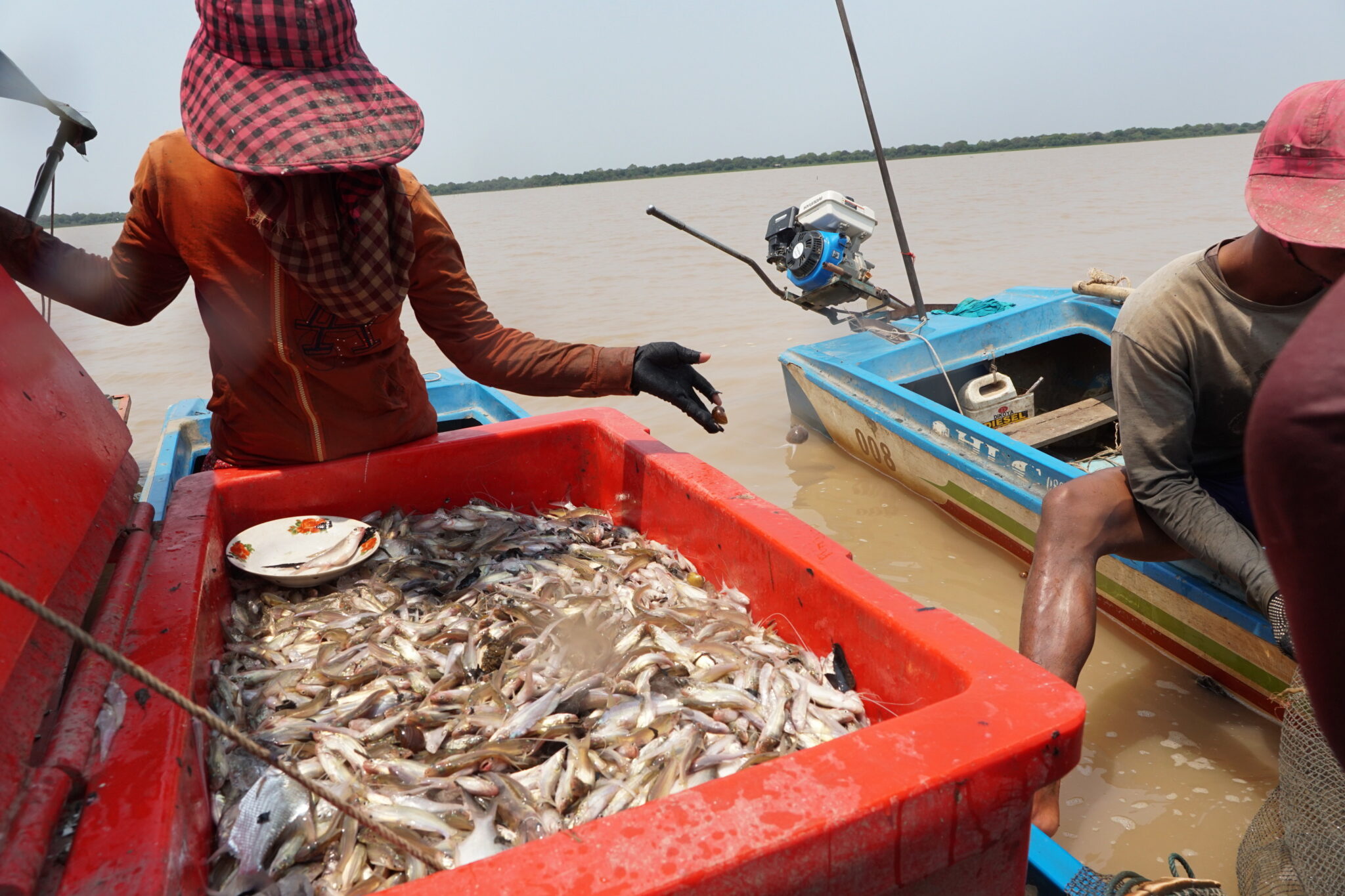Fishing crackdown disrupts Tonle Sap lives - Southeast Asia Globe