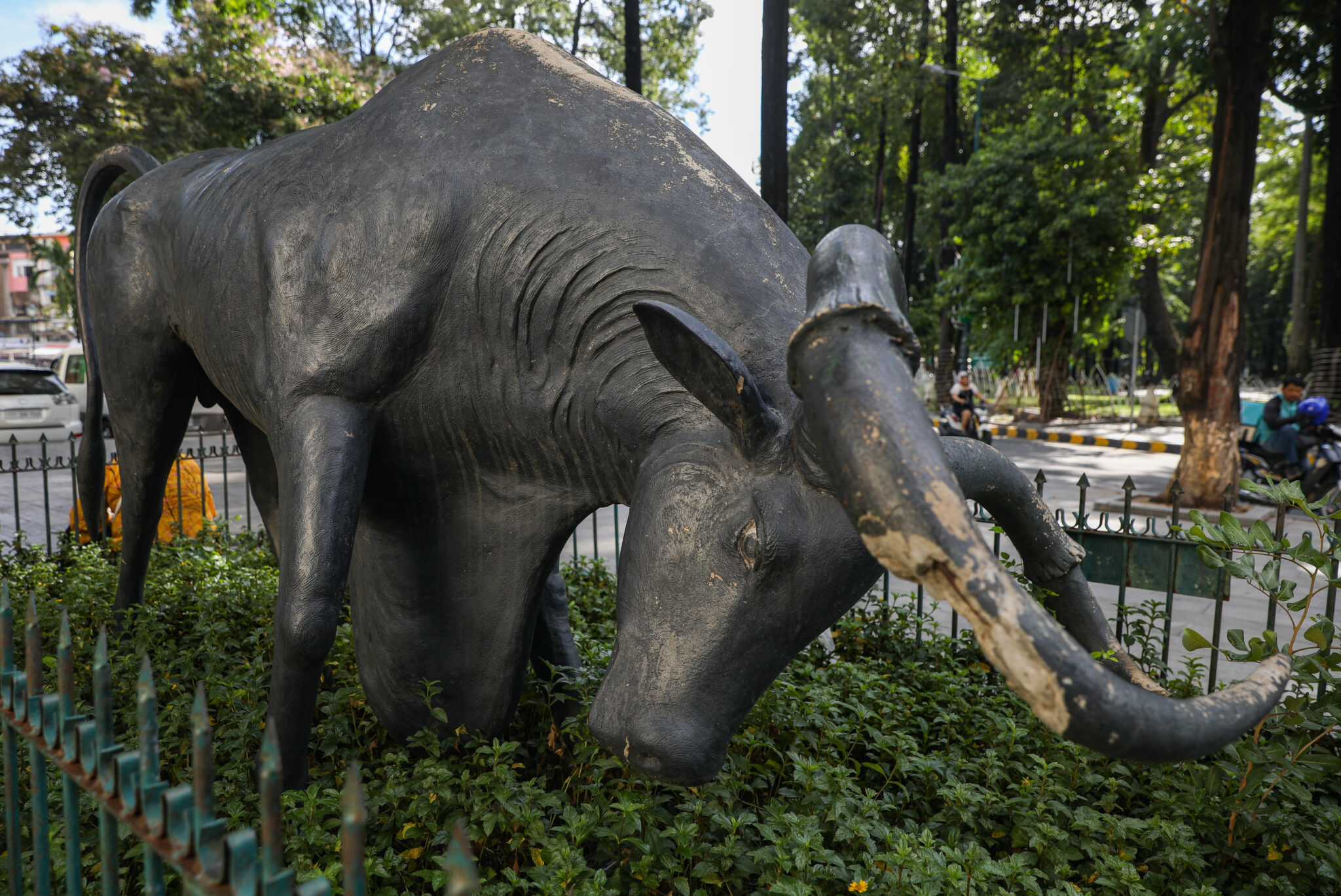 Politics of Extinction: On the trail of Cambodia’s kouprey - Southeast ...