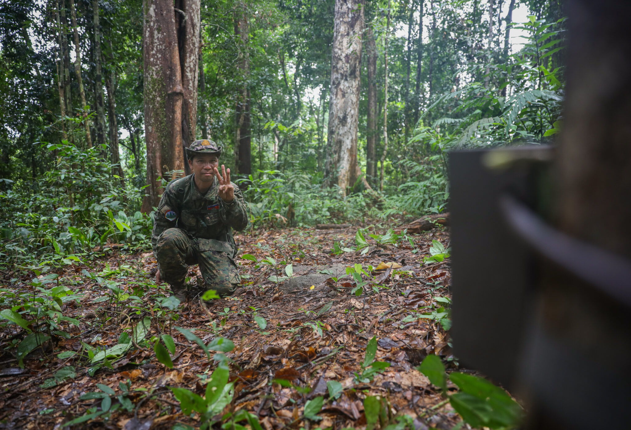 Politics of Extinction: On the trail of Cambodia’s kouprey - Southeast ...