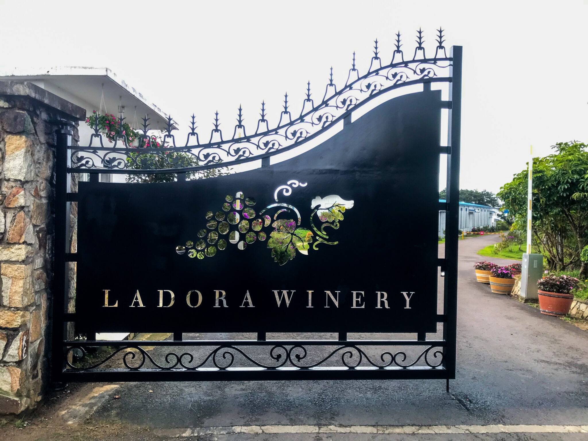 A passion for wine in Vietnam’s Central Highlands - Southeast Asia Globe